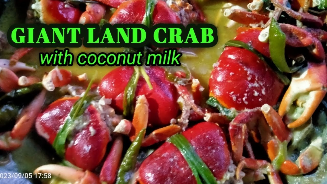 GIANT LAND CRAB COOKING - YouTube