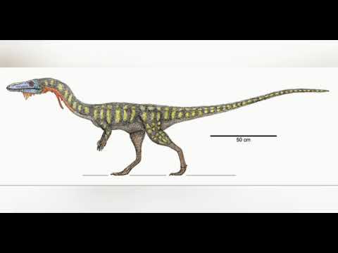 Coelophysis reconstruction sounds