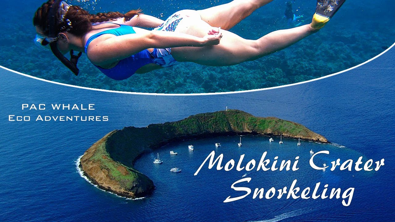 Molokini Crater Snorkeling | PAC WHALE Eco Adventures | Hawaii ...