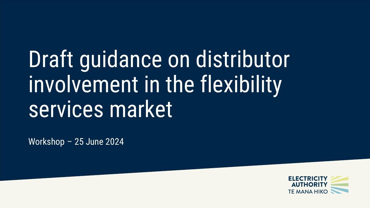 Workshop on guidance on distributor involvement in the flexibility ...