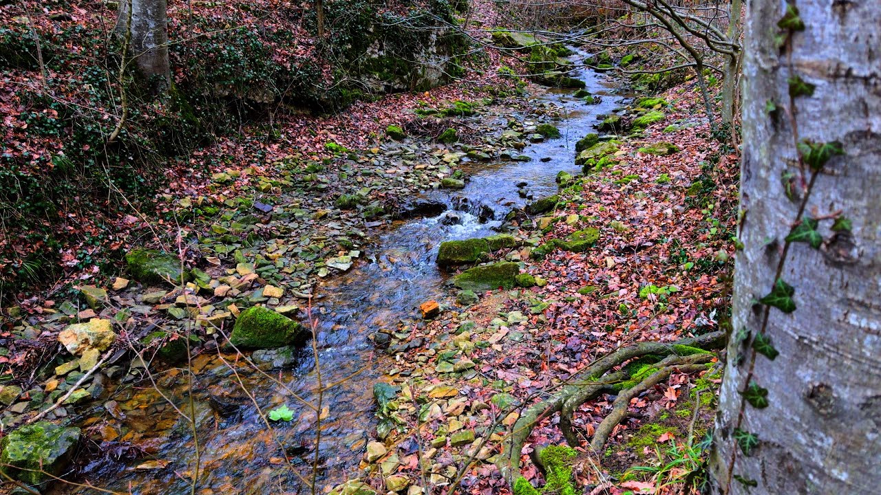 The Leaf's Journey | Soothing Piano Music for Pure Tranquility | Feel ...