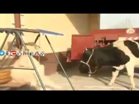 31 октября 2018 г.