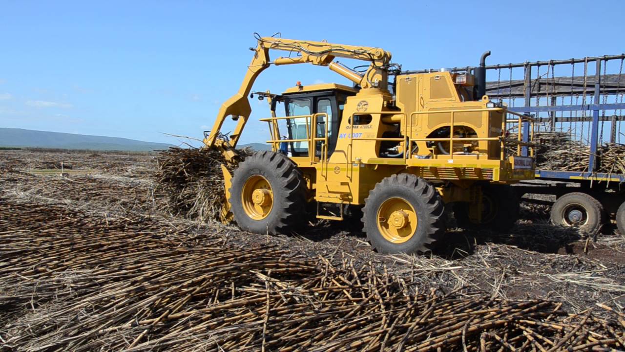 Game Equipment's 4700LX Sugar Cane Loader - YouTube