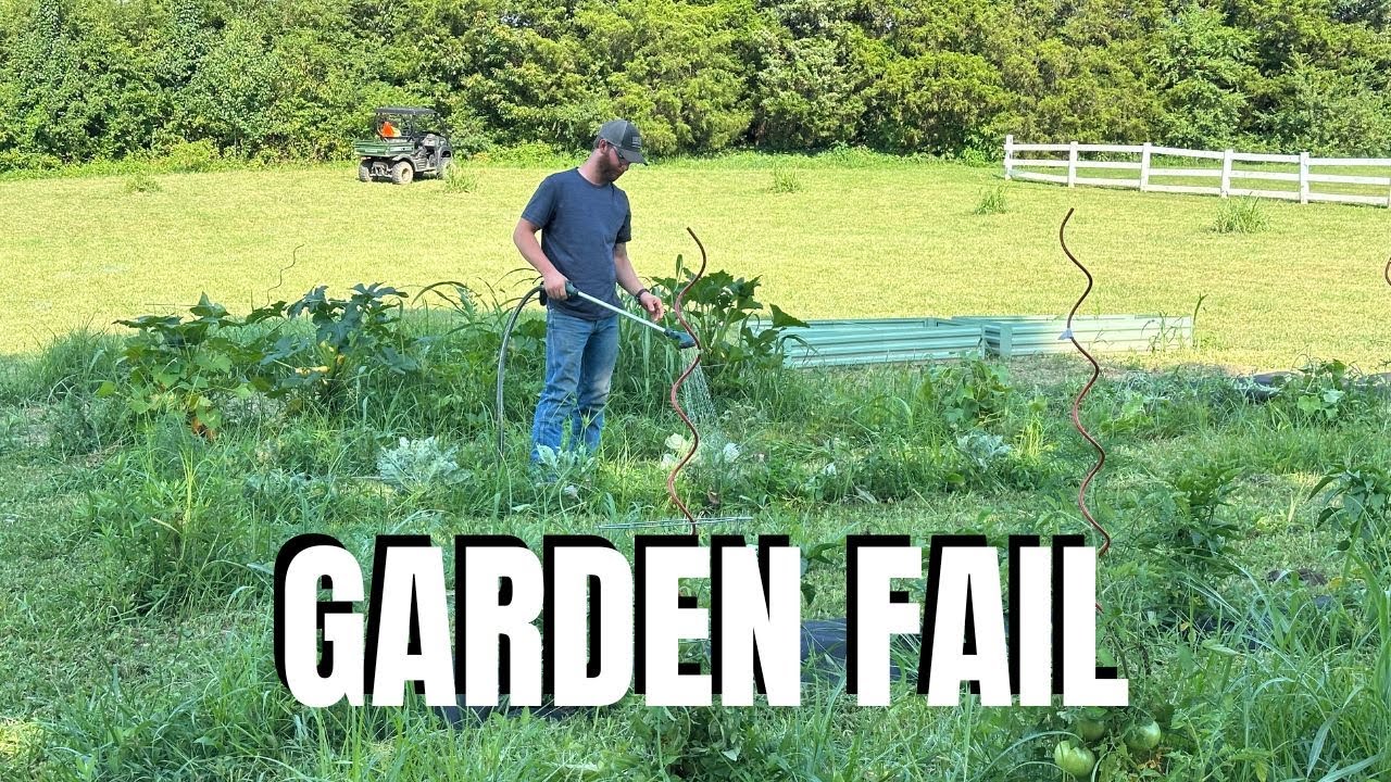 WHAT HAPPENED TO OUR GARDEN | GARDEN FAILURE - YouTube
