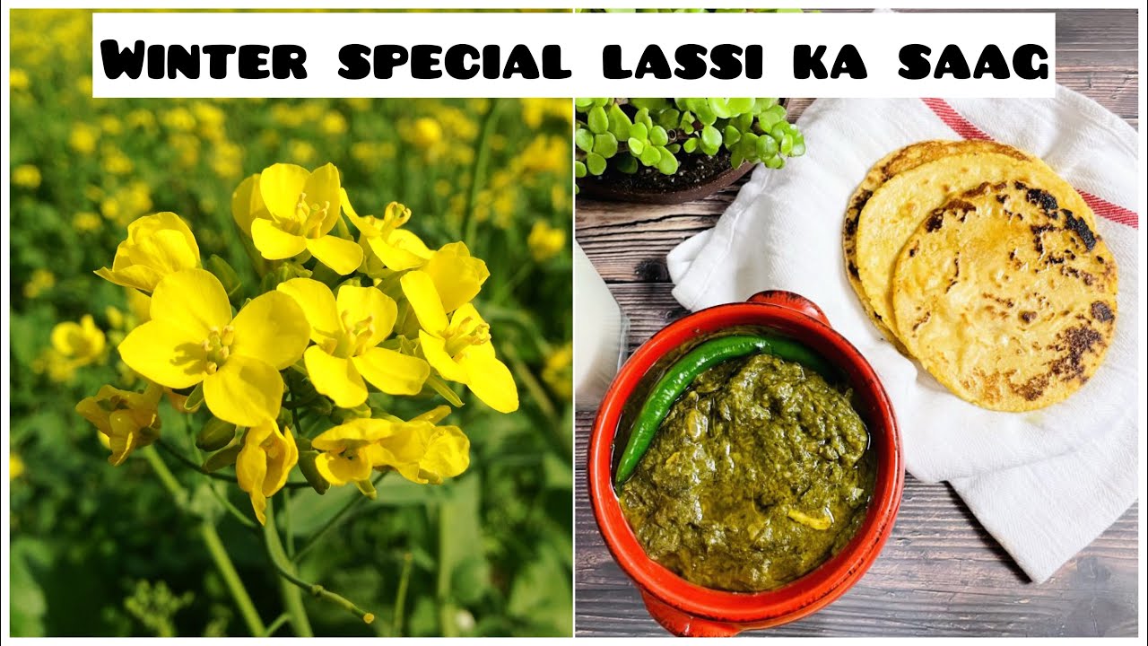 LASSI KA SAAG | PAKISTANI STYLE SAAG RECIPE @cooking of pothwar - YouTube