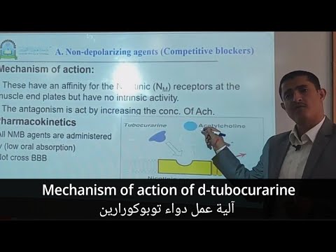 Mechanism of action of d-tubocurarine آلية عمل دواء توبوكورارين - YouTube