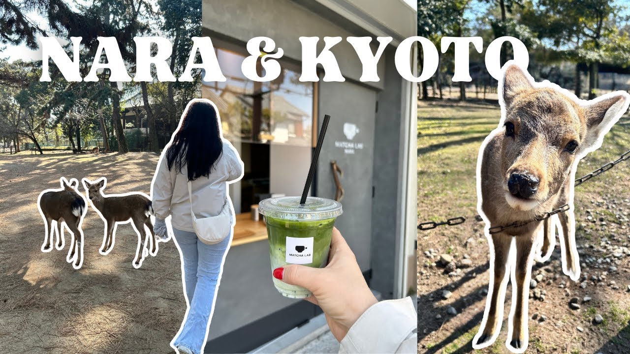NARA AND KYOTO VLOG | Winter in Japan | Nara Deer Park - YouTube