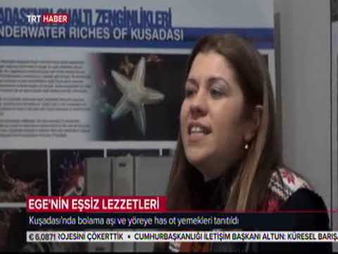 Bolama Aşı