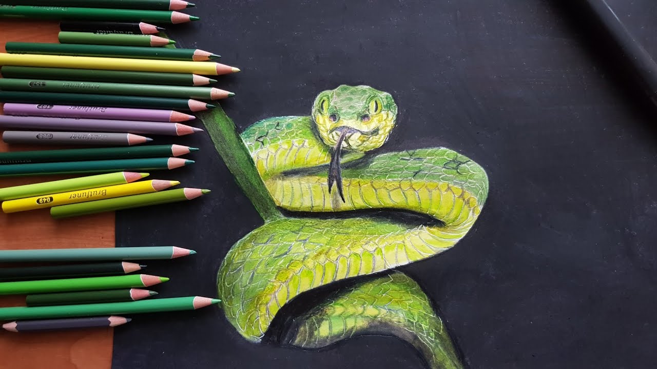 DRAWING A GREEN SNAKE, Colored Pencils Drawing - YouTube
