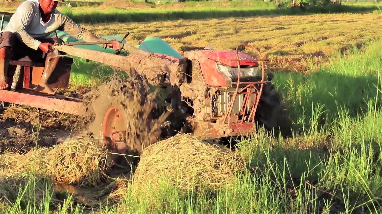 Small Tractor farming Mini tractor for rice farming - YouTube