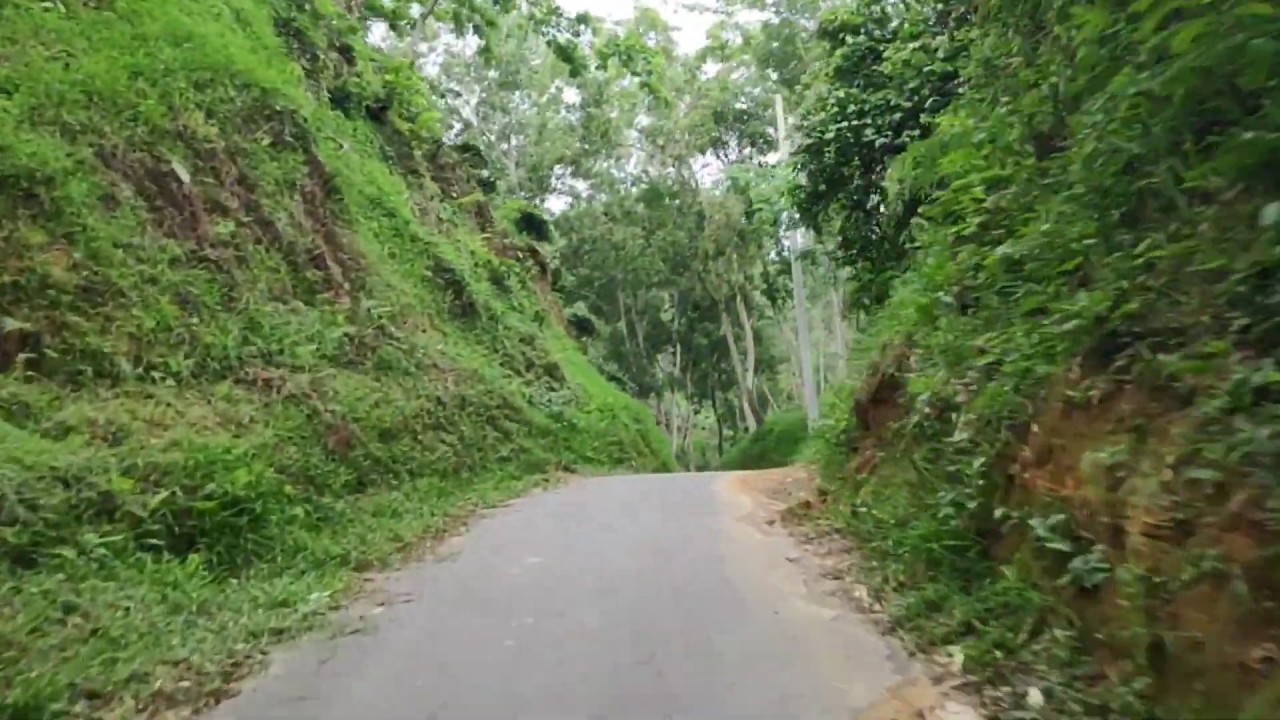 Bike riding on tea garden - YouTube