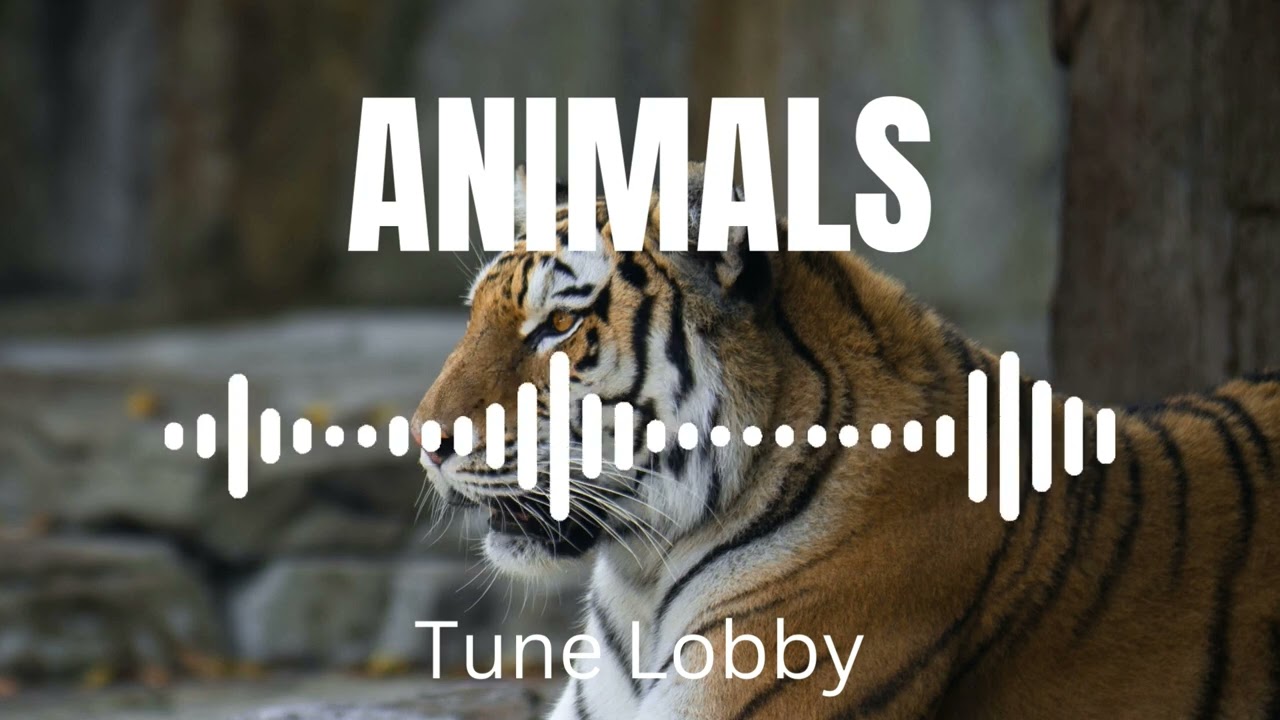 Cinematic Tense Dramatic by Tune Lobby[No Copyright Music] / Animals ...