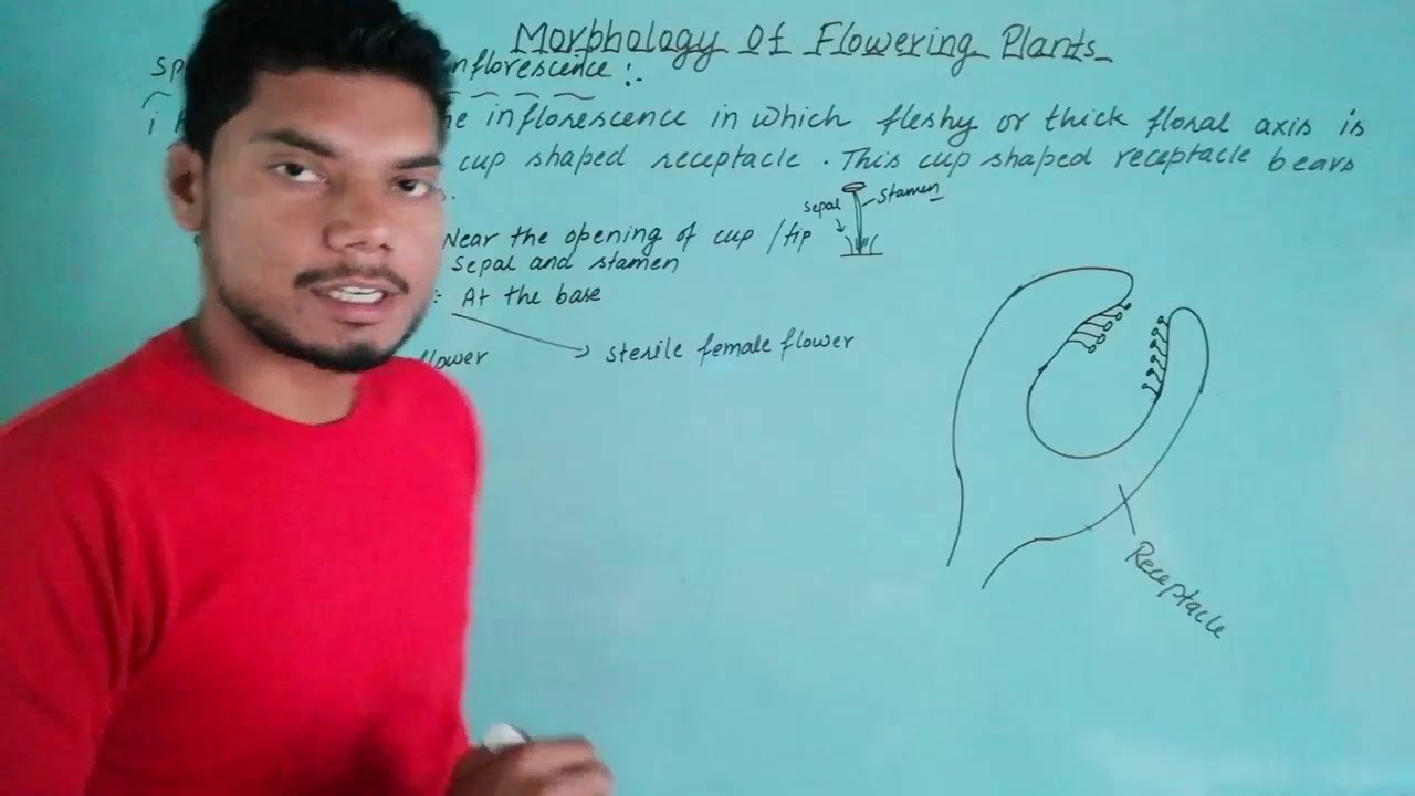 11 Biology l Morphology Of Flowering Plants l Part-27 l Special Types ...