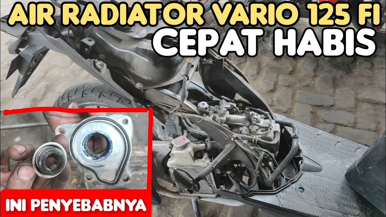 Air radiator vario 125 cepat habis? ini penyebabnya.. - YouTube