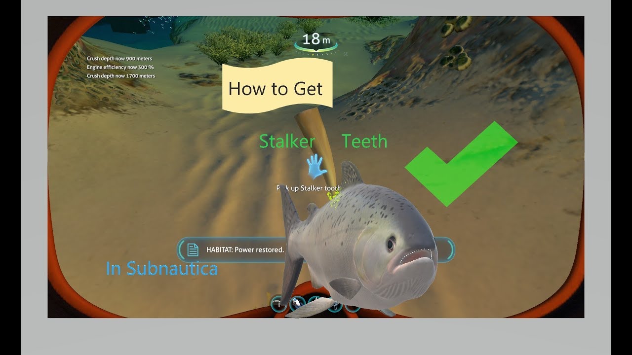 How to get Stalker Teeth in Subnautica - YouTube
