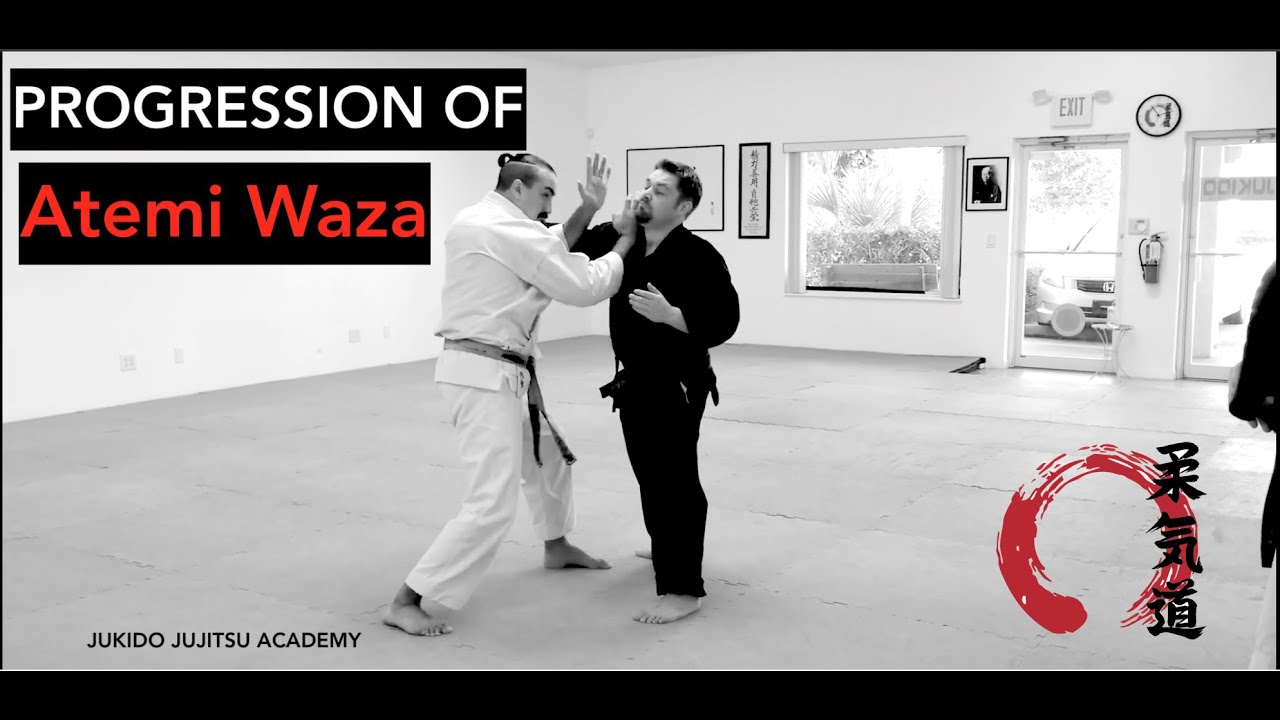 Atemi Waza • "Small to Big" Jujutsu / Jujitsu Striking Method || JUKIDO ...