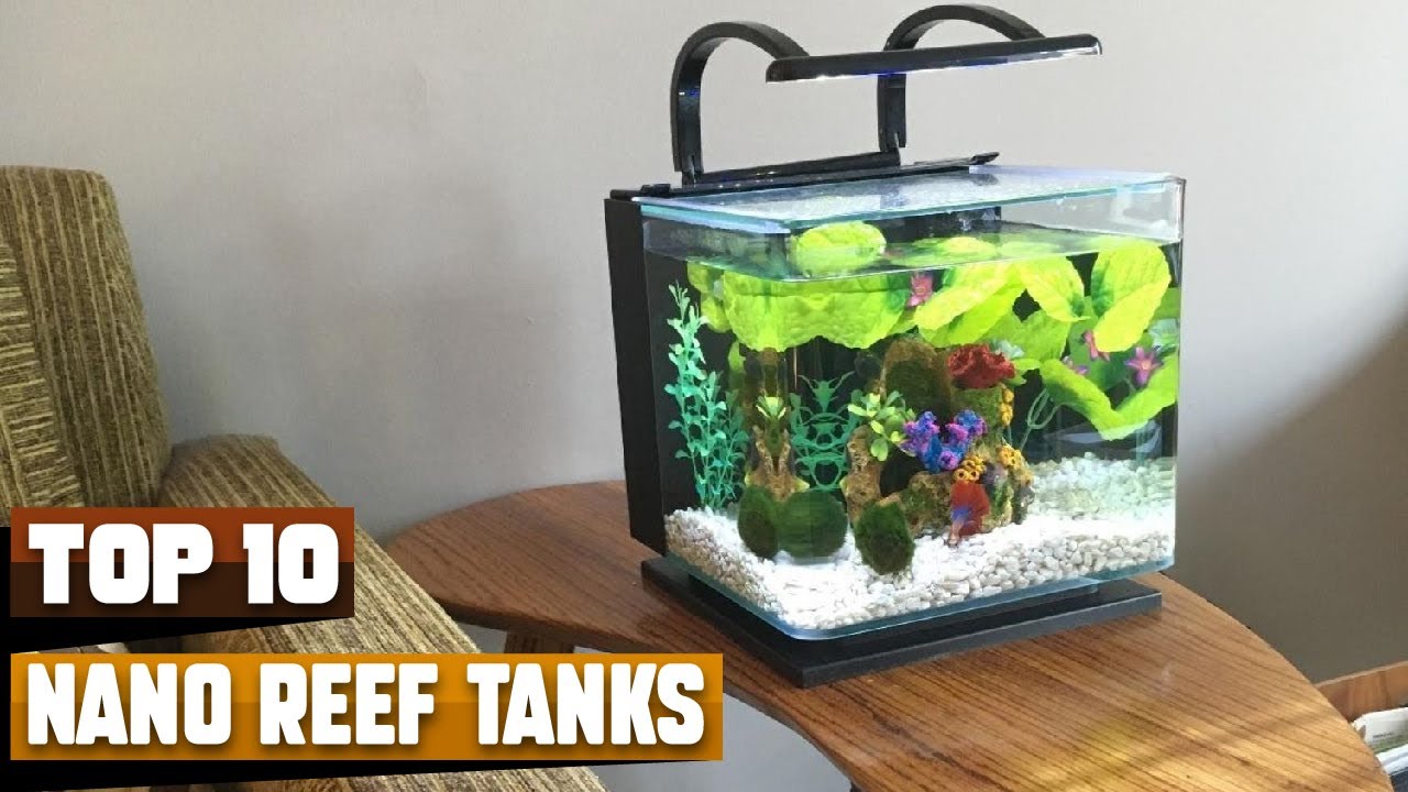 Nano Reef Tanks 🐠 Top Rated Nano Reef Tanks On Amazon - YouTube