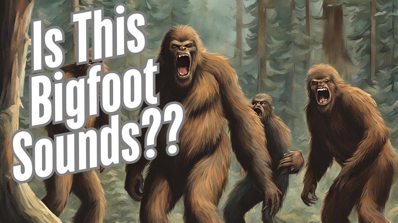 !Amazing Audio! Is This Bigfoot Sounds? - YouTube