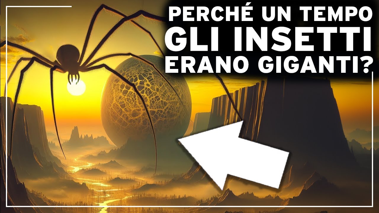 Com'era la Terra nell'era degli insetti giganti? I più sorprendenti ...