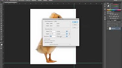 Photo | Photo 600x600 pixels size - YouTube