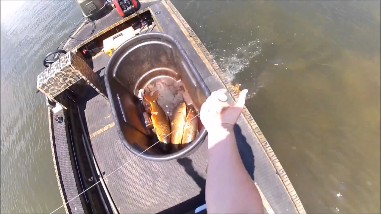 Blood Line Bowfishing Episode 1 - YouTube