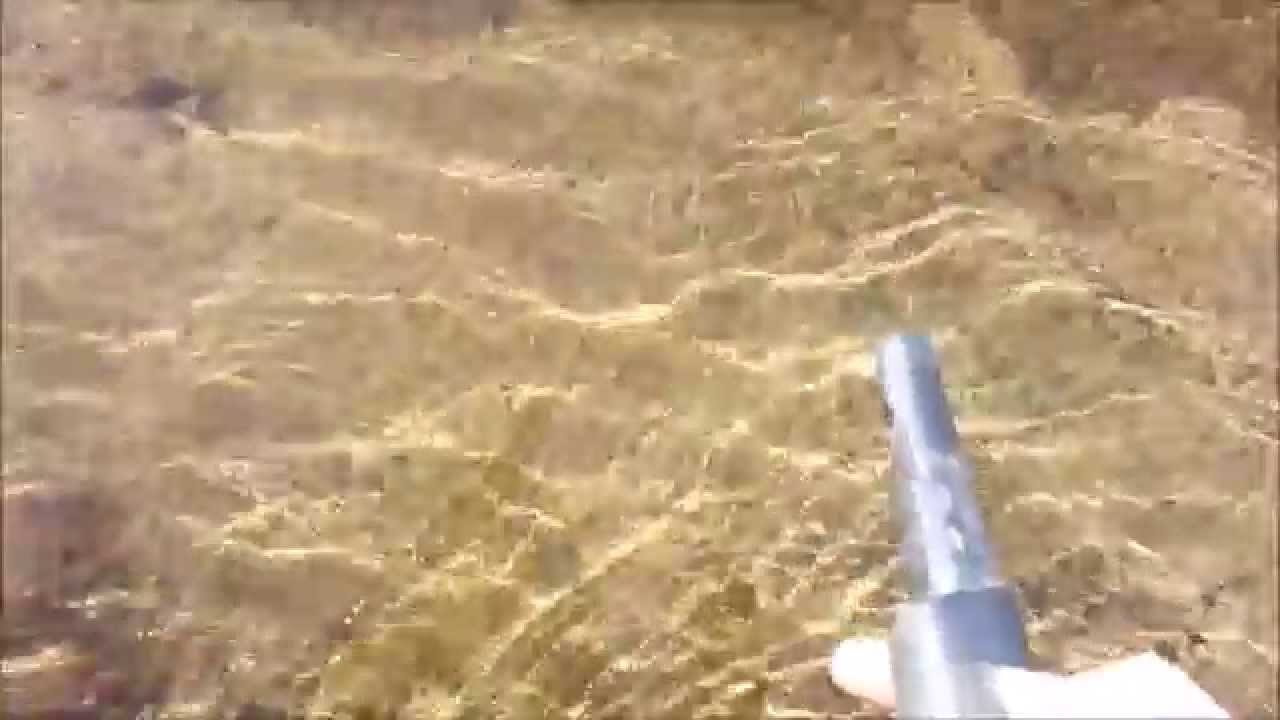 Metal Detecting: Using a pinpointer under water Bullseye TRX at Three ...