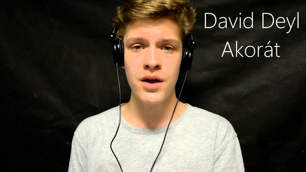 David Deyl - Akorát |COVER| - YouTube