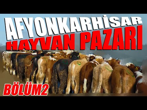 Afyonkarahisar hayvan pazarı pazarlıkları ile karşınızdayım / Bölüm 2