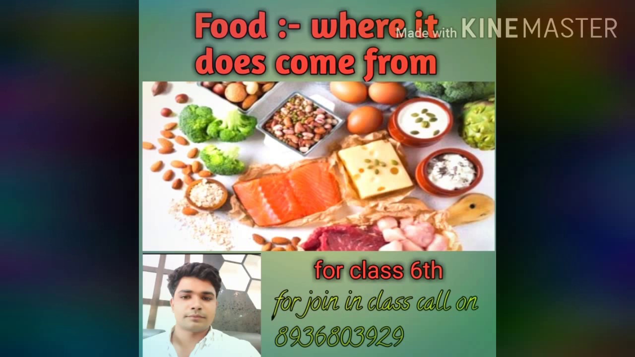 Food : where it does comes from - YouTube