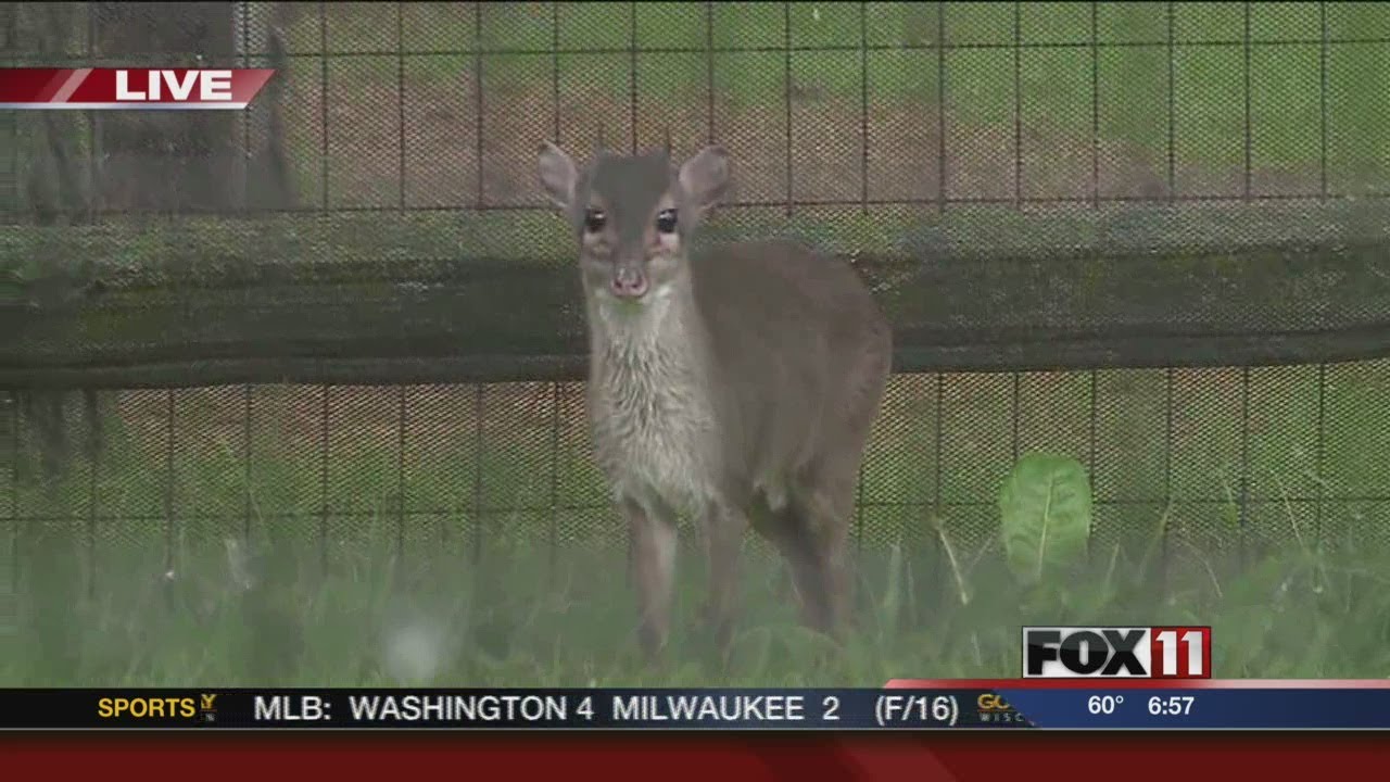 Good Day Wisconsin - YouTube