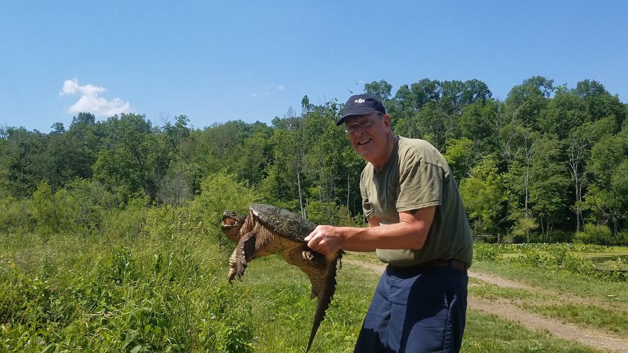 Flying Drone then caught a Big Snapping Turtle - YouTube