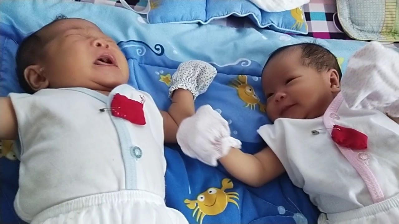 Bully moment of twins🤣🤣 - YouTube
