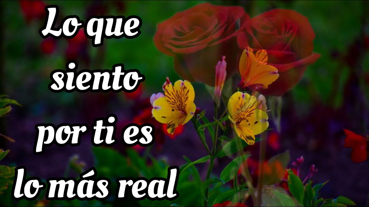 Lo que siento por ti es lo más real cariño - YouTube