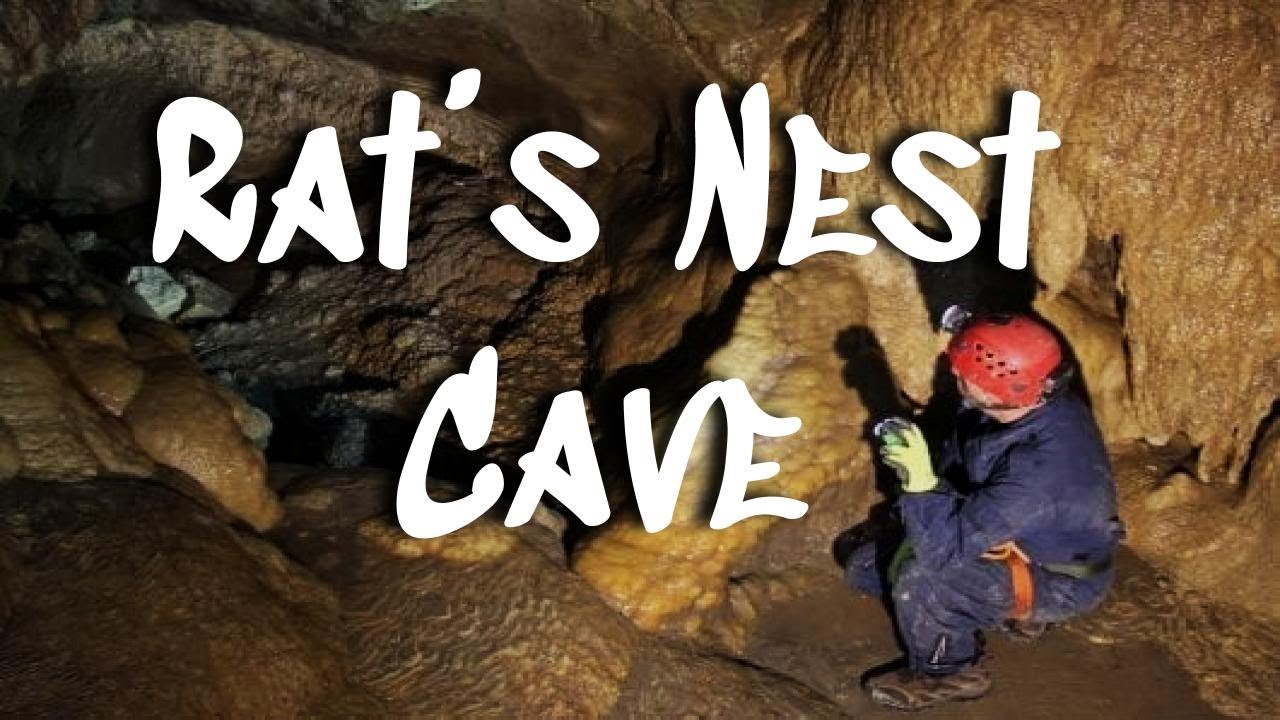 Exploring Rat's Nest Cave || Canmore Cave Tours - YouTube