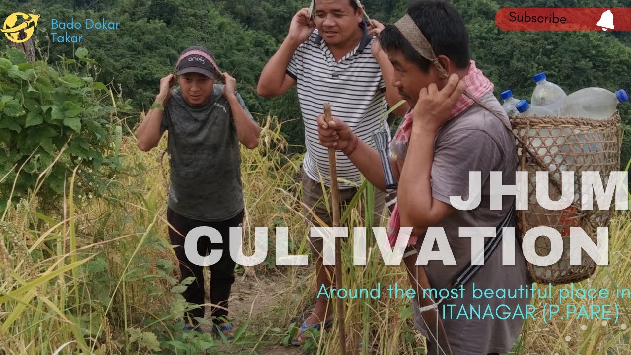 JHUM CULTIVATION around Itanagar Arunachal Pradesh - YouTube