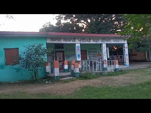 sarkari school, haryal🏫😍