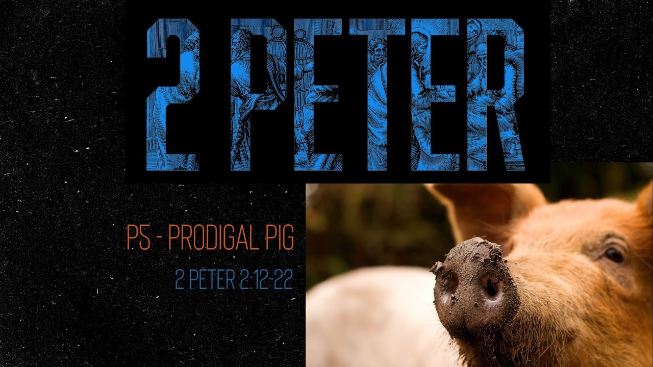2 Peter P5 - "Prodigal Pig" - YouTube