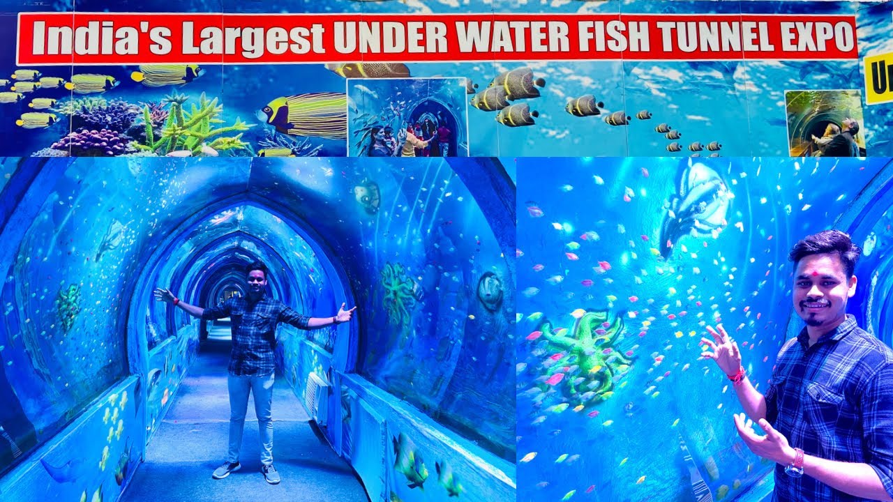 India’s Largest Under Water Fish Tunnel Expo 😍 | Vapi Mela 😍 - YouTube