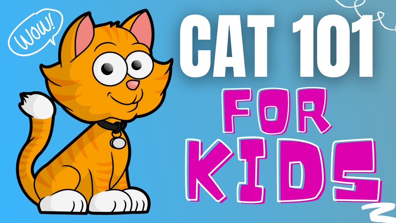Cat Facts 101 : Explainer for Kids - YouTube