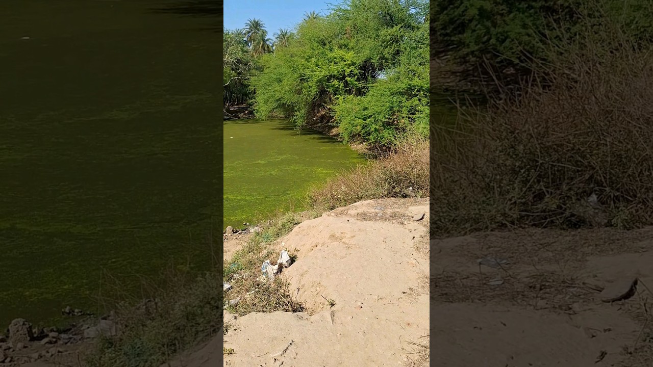 mini vloge #minivlog - YouTube