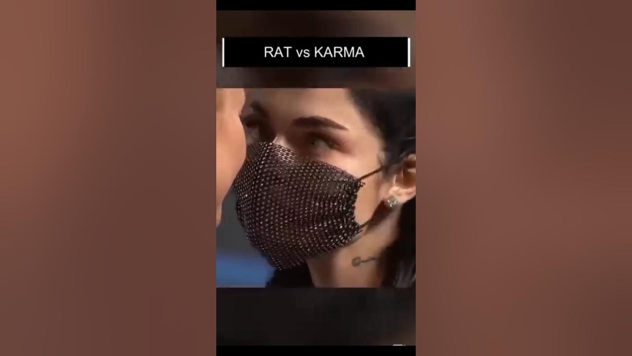 Karma got this rat fighter #shorts #reels - YouTube