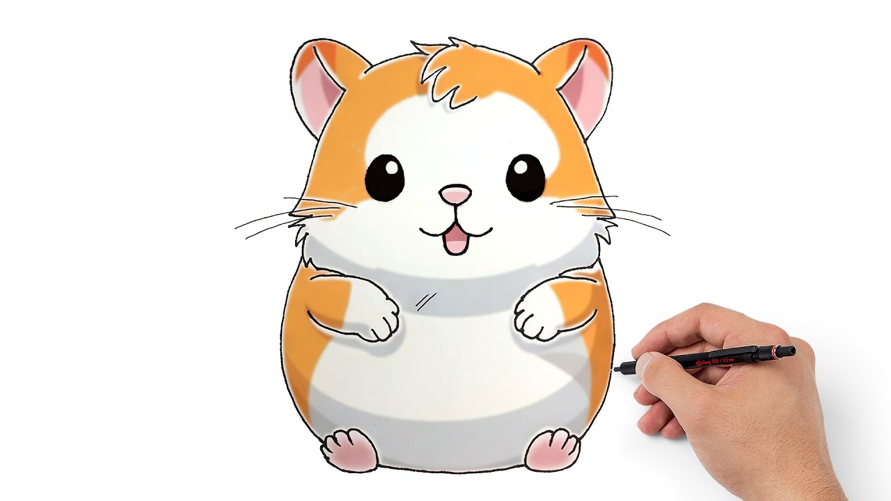 How to Draw a Hamster | Hamster drawing Step by Step | Hamster drawing ...