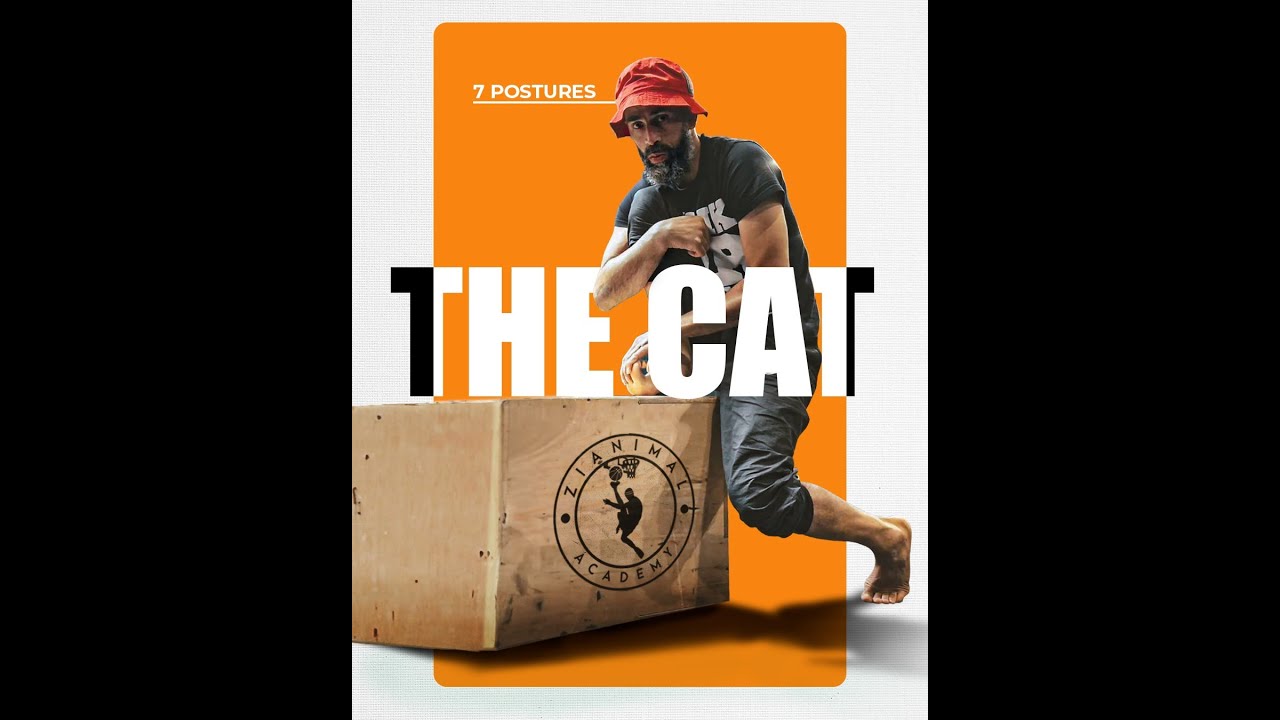 Full Session Cat mode - #7postures - YouTube