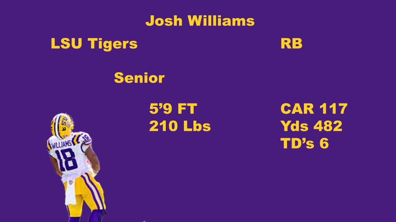 Josh Williams LSU Tigers 2024 Highlights - YouTube