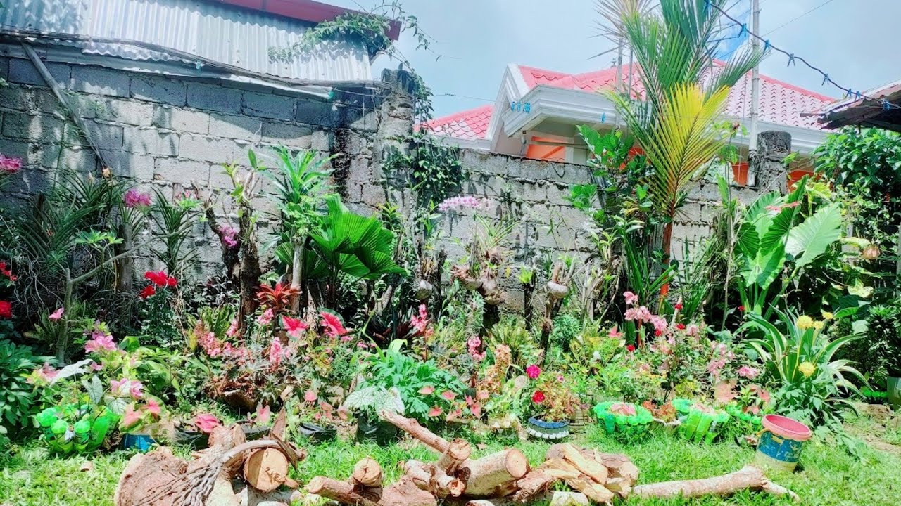 SIMPLE IDEAS OF ARRANGING DIFFERENT FLOWERING PLANTS NG GENEROUS NA ...