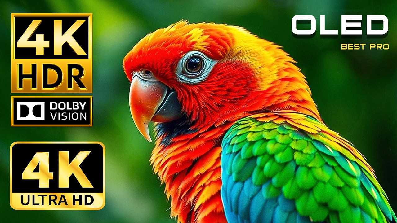 4K HDR 60 FPS - BEST Dolby Vision 4K Video with Relaxing Music for ...