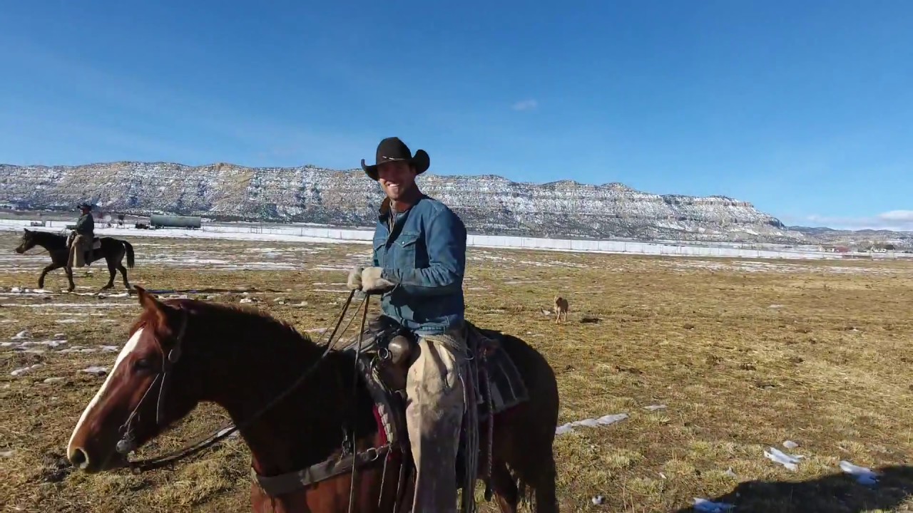 Chasing Cows as Seen from Drone Vid 1 - YouTube