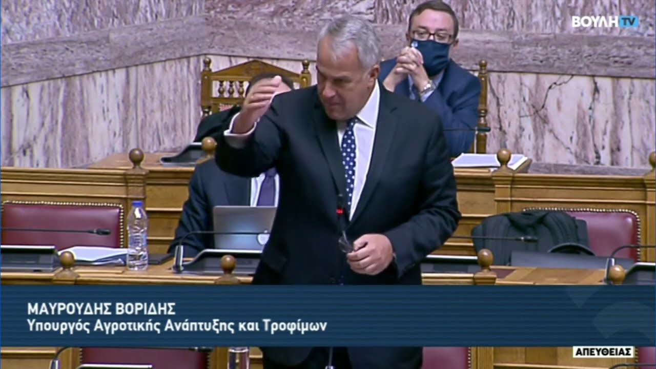 Μάκης Βορίδης στη Βουλή: Δίκαιη τιμωρία η ποινή κάθειρξης έως 10 έτη ...