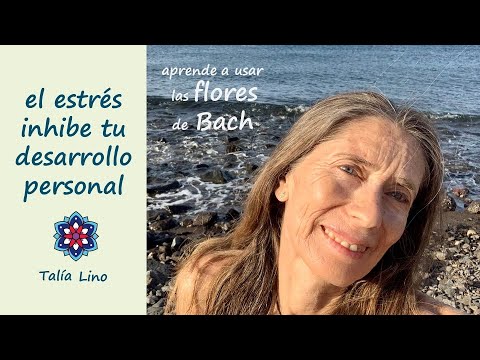 EL ESTRÉS INHIBE TU DESARROLLO PERSONAL - YouTube