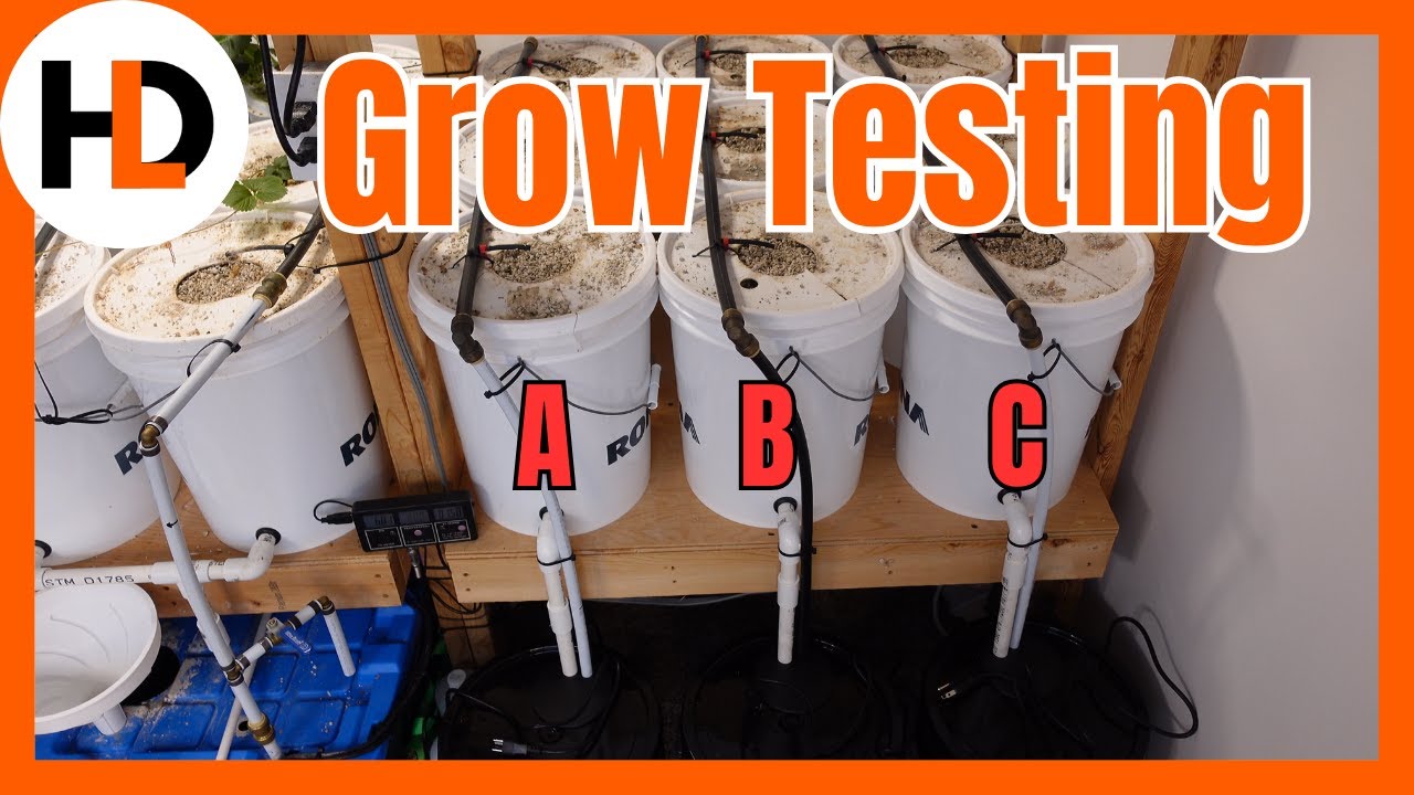 Making A Full Scale Grow Comparison Setup - YouTube